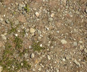 various grass textures - Texturelib